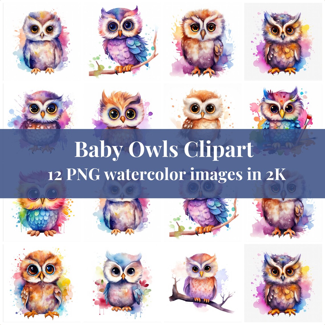 Owl Clipart 12 PNG Images in Watercolor High Quality - Etsy