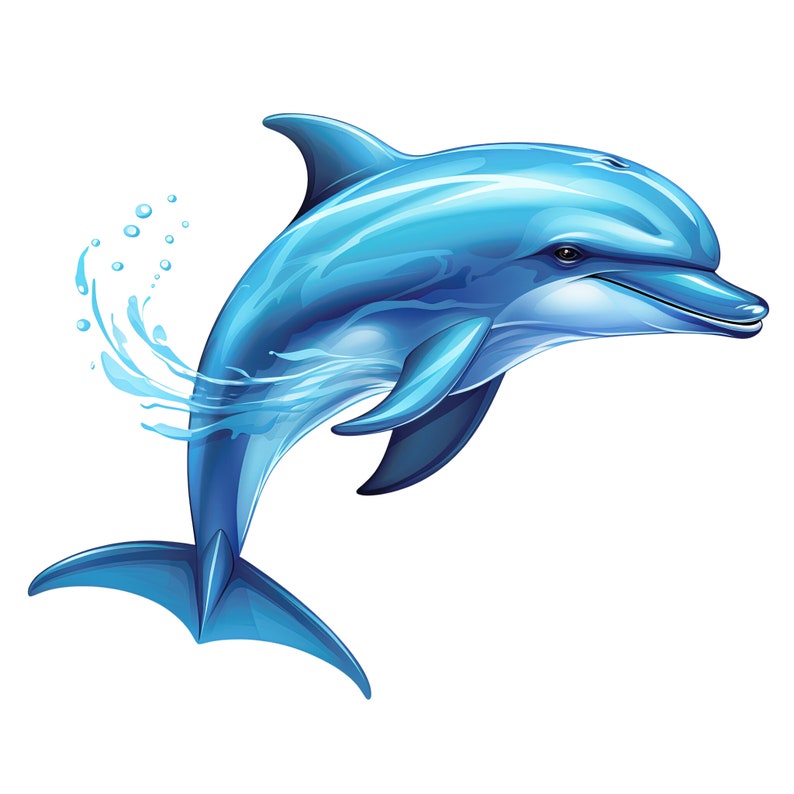 Dolphins Clipart, 18 Digital Images in PNG Format for Illustrations ...