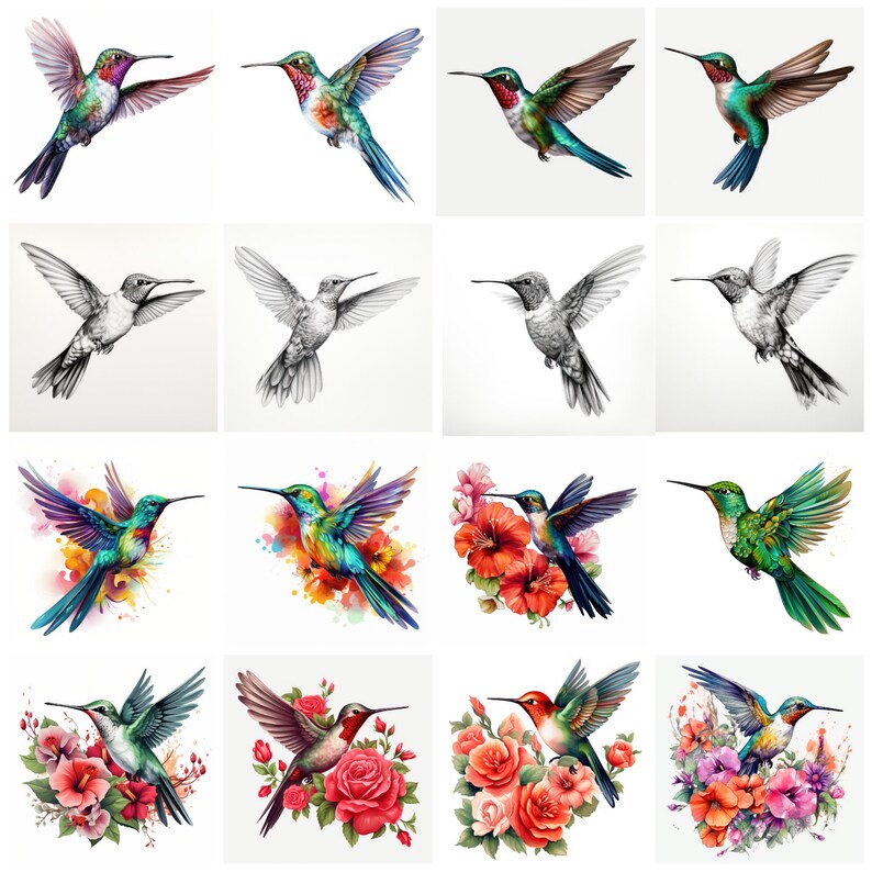 Birds Mega Bundle, More Than 70 Images in PNG and JPG Format, Digital ...