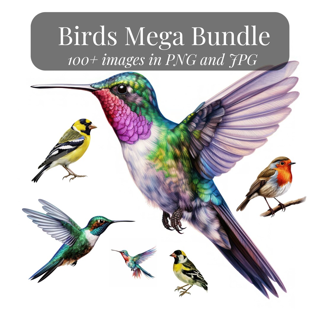 Birds Mega Bundle, More Than 70 Images in PNG and JPG Format, Digital ...