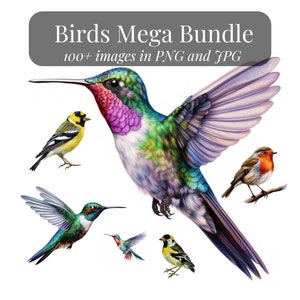 Birds Mega Bundle, More Than 70 Images in PNG and JPG Format, Digital ...