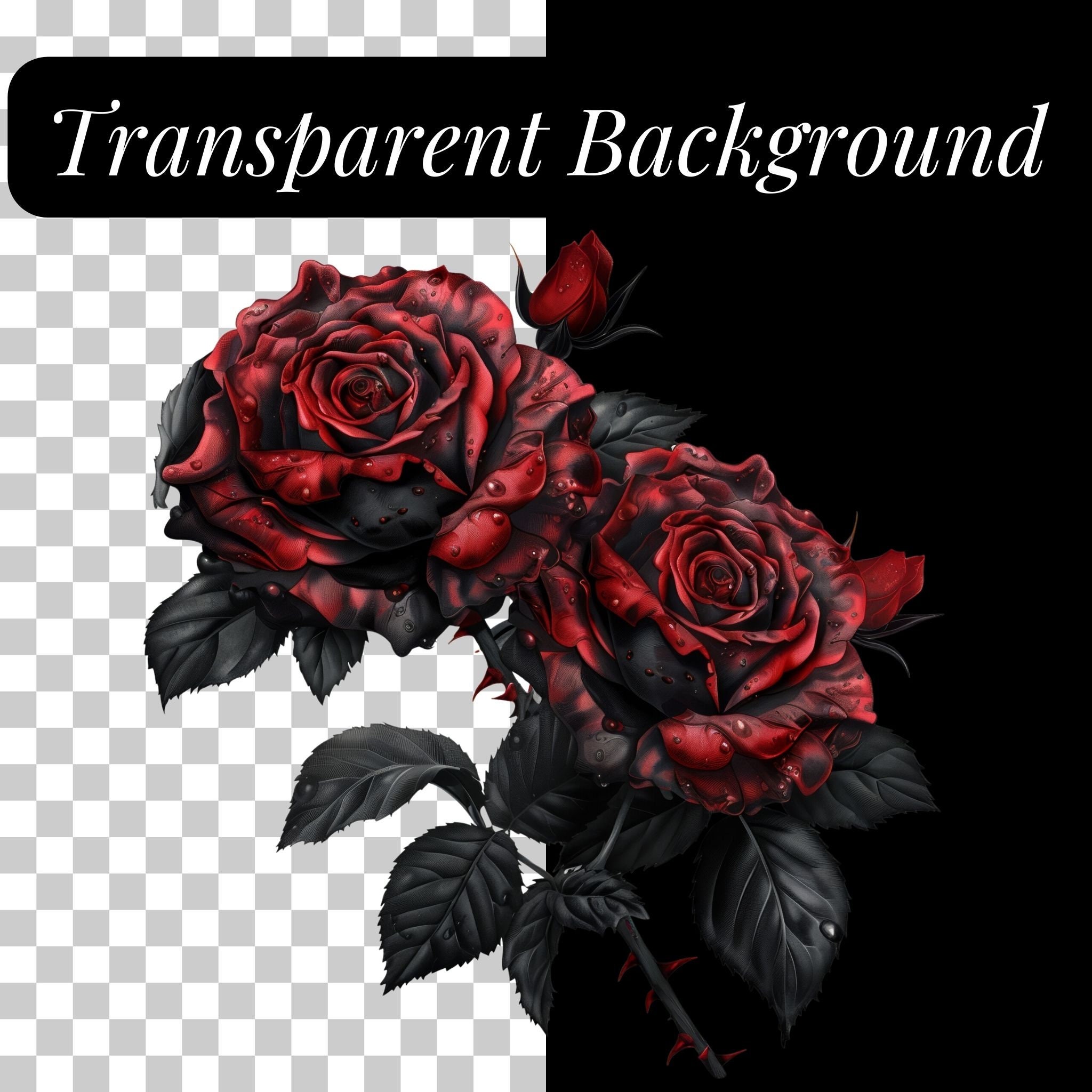 Gothic Rose Clipart, 9 Digital Images in PNG Format for Valentine ...