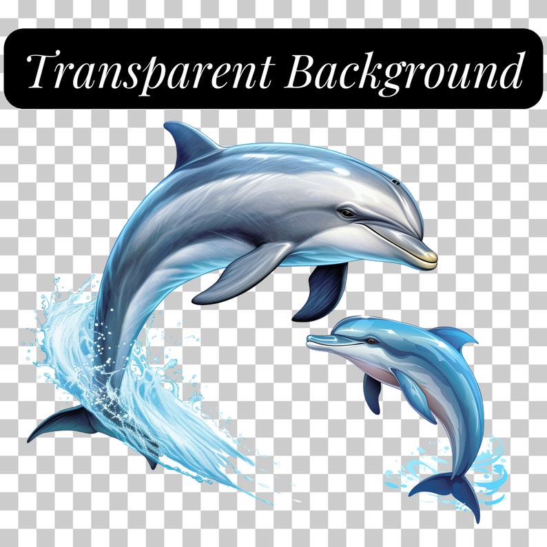 Dolphins Clipart, 18 Digital Images in PNG Format for Illustrations ...