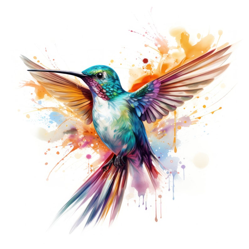 Hummingbird Set of 9 PNG Digital Images in High Quality, Ready to Print ...