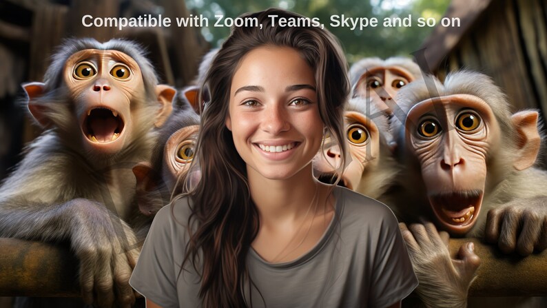 Funny Zoom Background, Monkey Edition, 8 PNG Images in High Quality ...