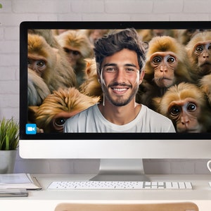 Funny Zoom Background, Monkey Edition, 8 PNG Images in High Quality ...