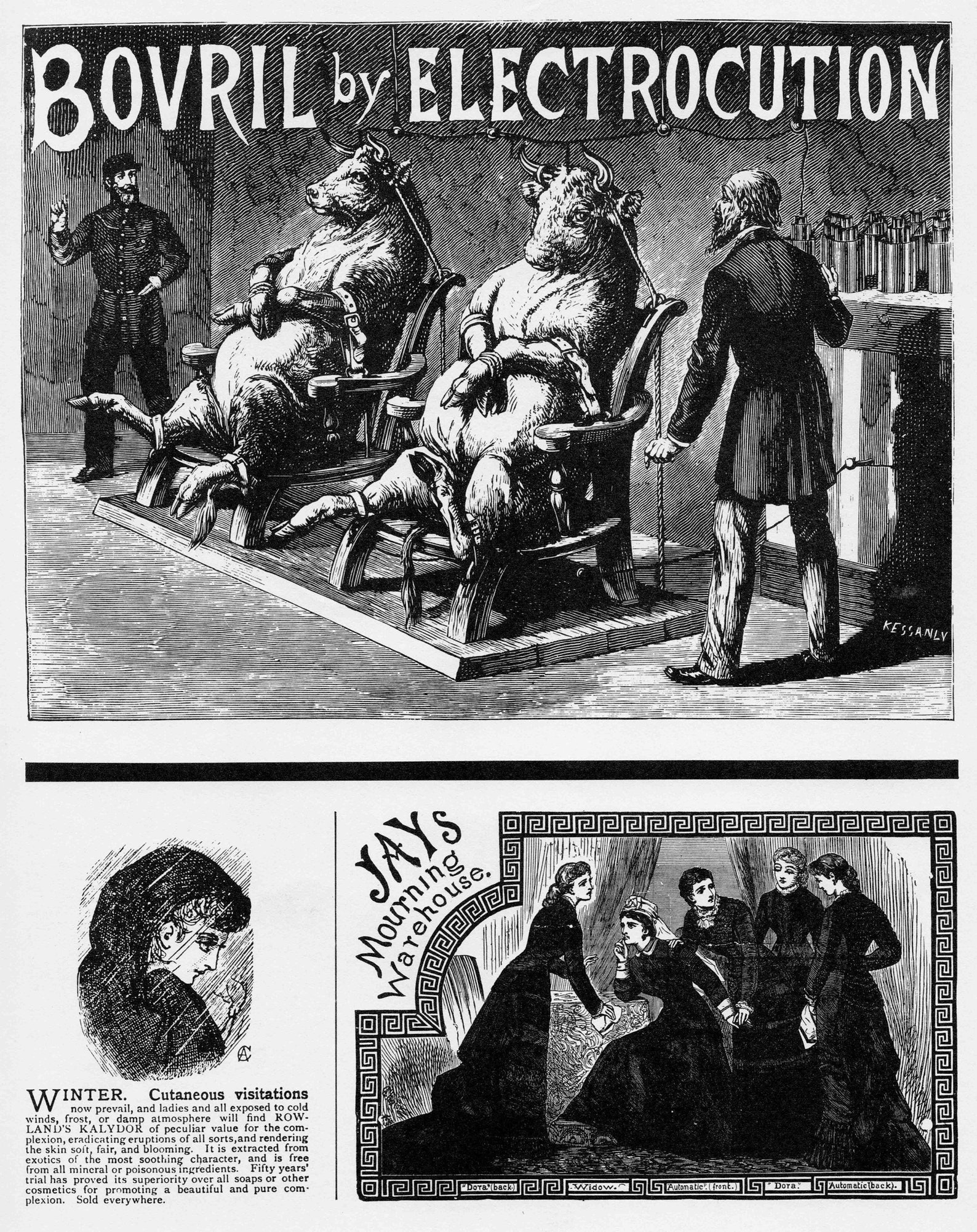 Bovril by Electrocution - DIGITAL DOWNLOAD 300 Dpi - Victorian Ephemera ...