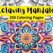 Mandala Coloring Book - 250 Pages Bundle - Relaxing Mandala Coloring ...