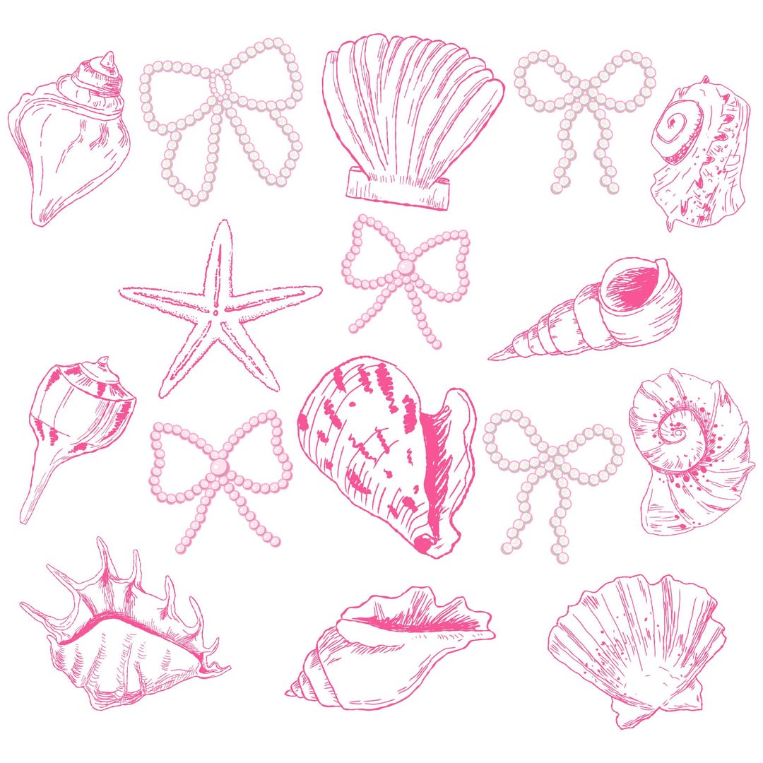 Watercolor Seashell Clipart Png, Beach Vibes Png, Coquette Seashell Bow ...