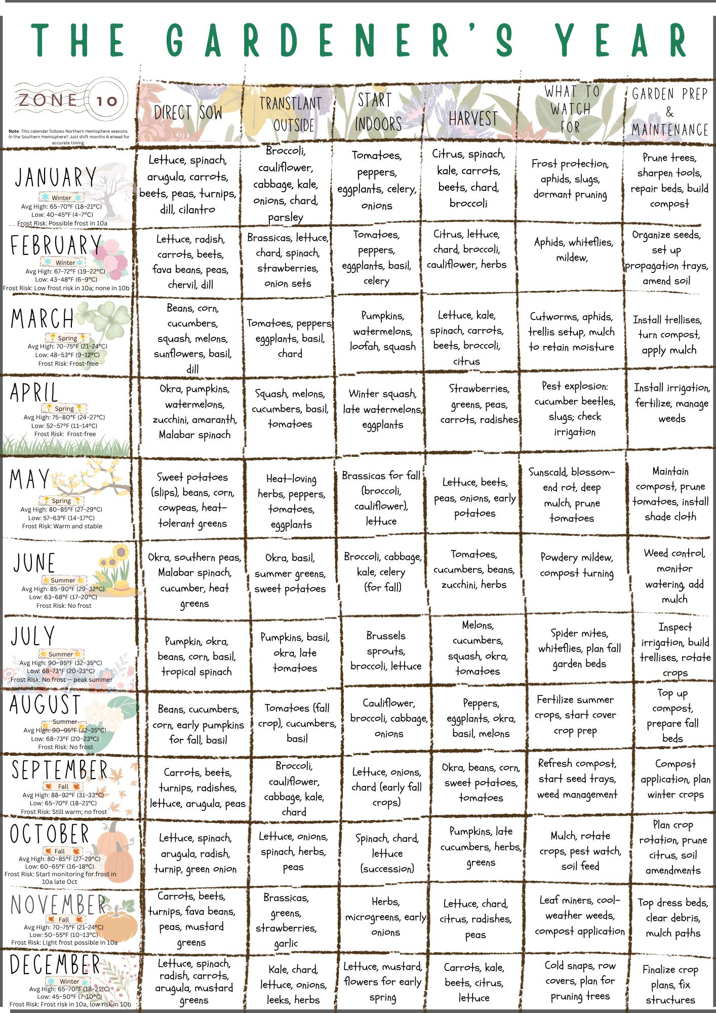 Zone 10 Planting Guide