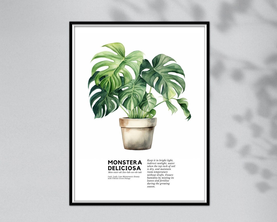 Monstera Plant Art, Digital Download, Watercolor Monstera Printable Art ...