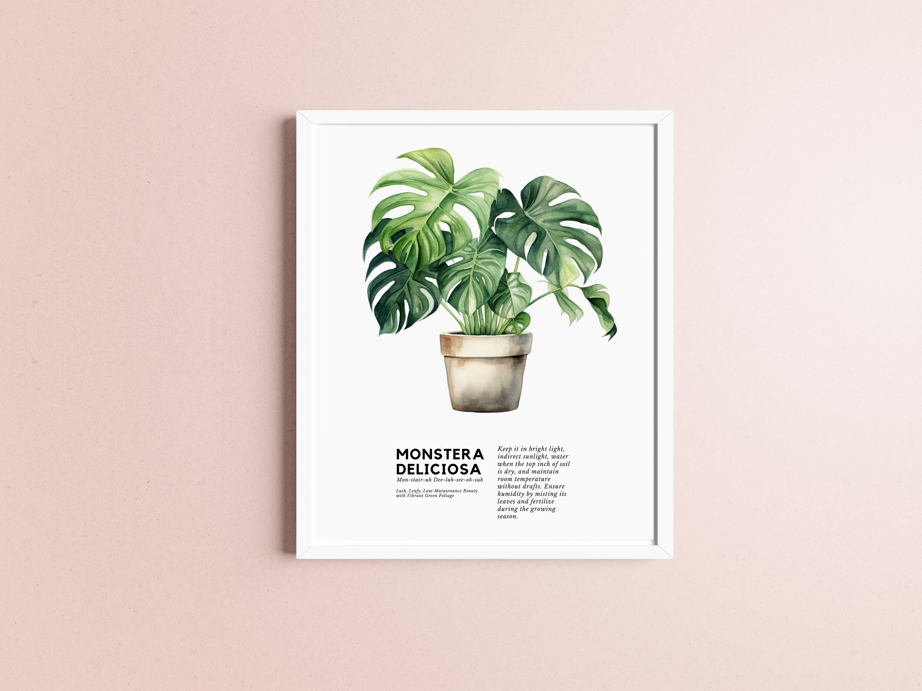 Monstera Plant Art Digital Download Watercolor Monstera - Etsy Australia