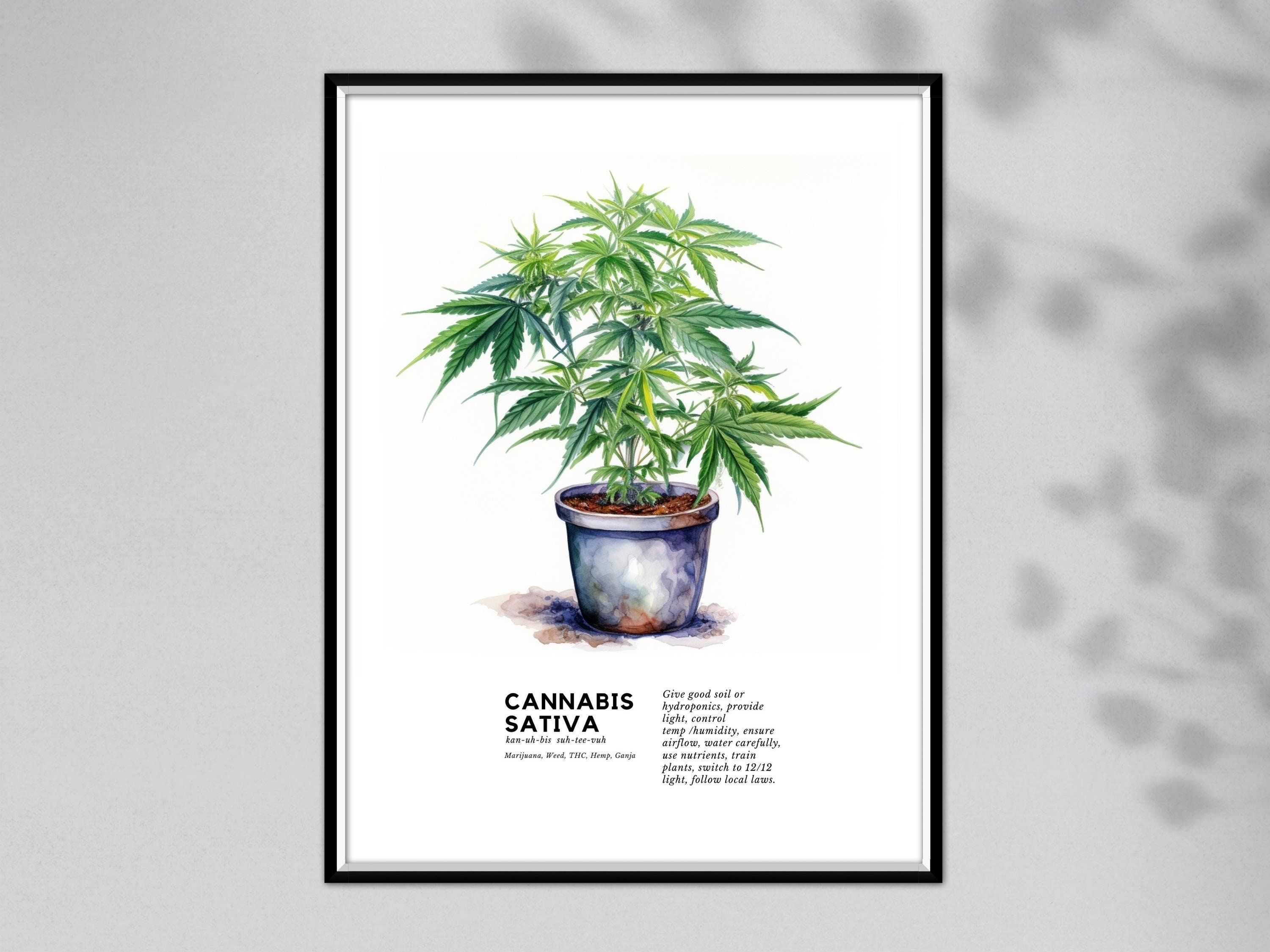 Watercolor Cannabis Wall Art Digital Download Marijuana - Etsy