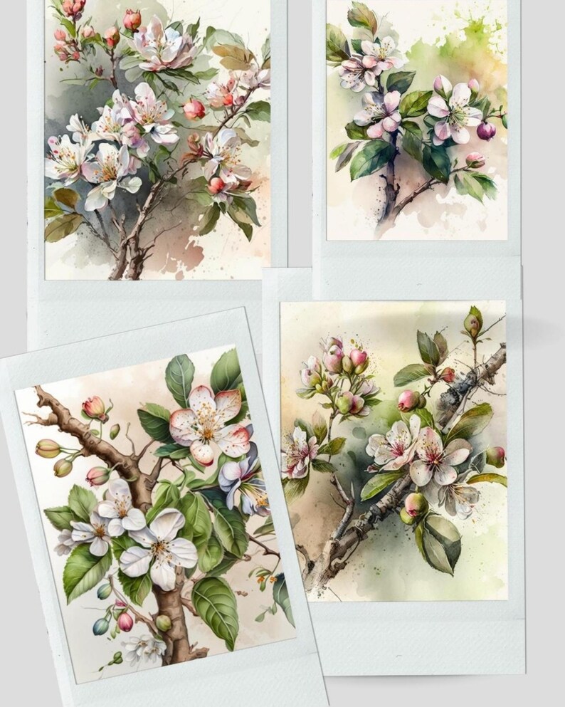Apple Blossom Watercolor Clipart, Botanical Art, Pink Clipart, Spring ...