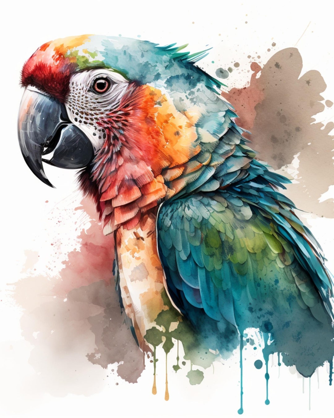 Parrot Watercolor Paintings Wall Art | Tropical Illustration Poster ...