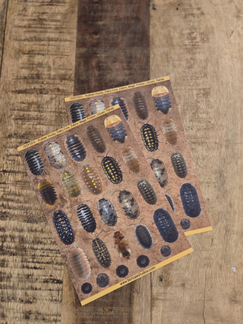 Isopod Sticker Sheet - Rubber Ducky, Dairy Cow, Zebra - 25 Realistic ...