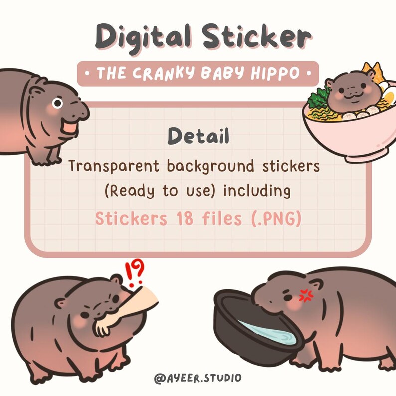 Moo Deng, Cranky Baby Pygmy Hippo Celebrity in Thailand | Baby Hippo ...