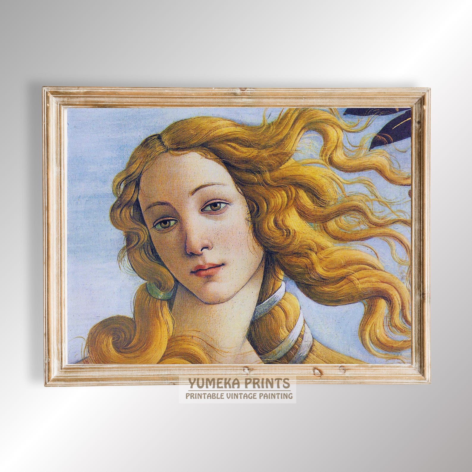 The Face of Venus by Sandro Botticelli - the Birth of Venus (1484–1486 ...