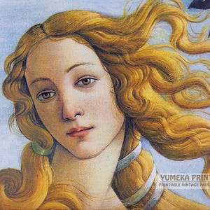 The Face of Venus by Sandro Botticelli - the Birth of Venus (1484–1486 ...