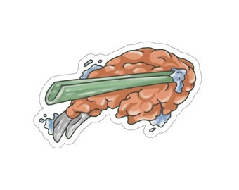 Buffalo Wing Stickers - Etsy