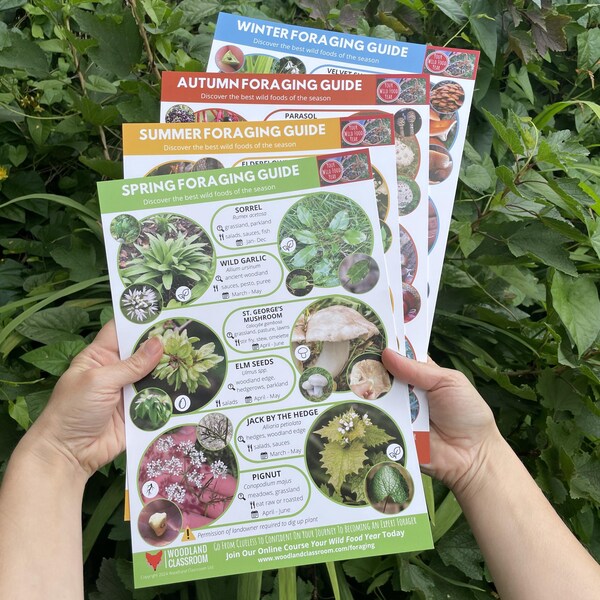 Wild Edible Forage - Etsy UK
