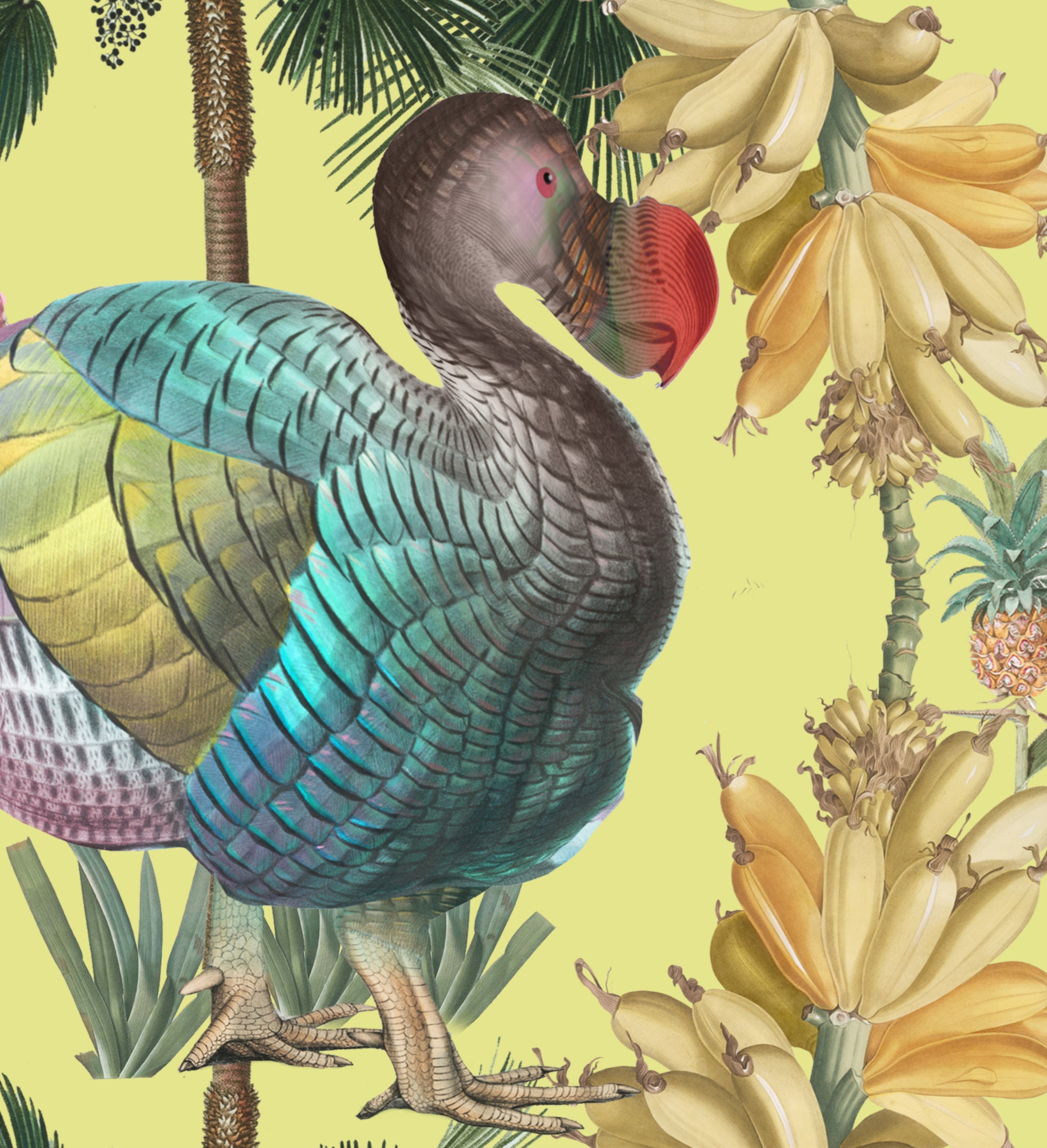 Dodo Bird Print, Tropical Art Print, Banana Print, Original Art, Dodo ...