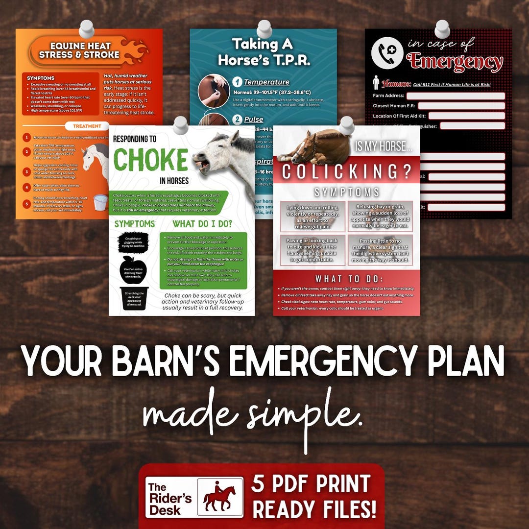 Equine Emergency Poster Bundle: Barn Safety First Aid (digital Download ...