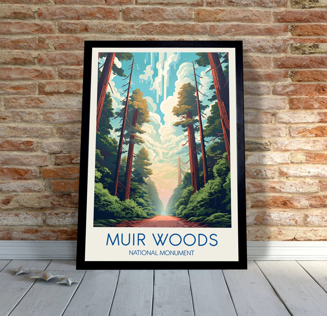 Muir Woods Poster Muir Woods Art Muir Woods Print Cityscape - Etsy
