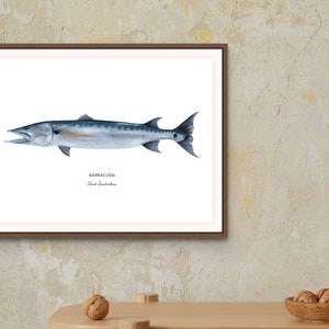 The Barracuda Poster 250gr Art Paper - Etsy