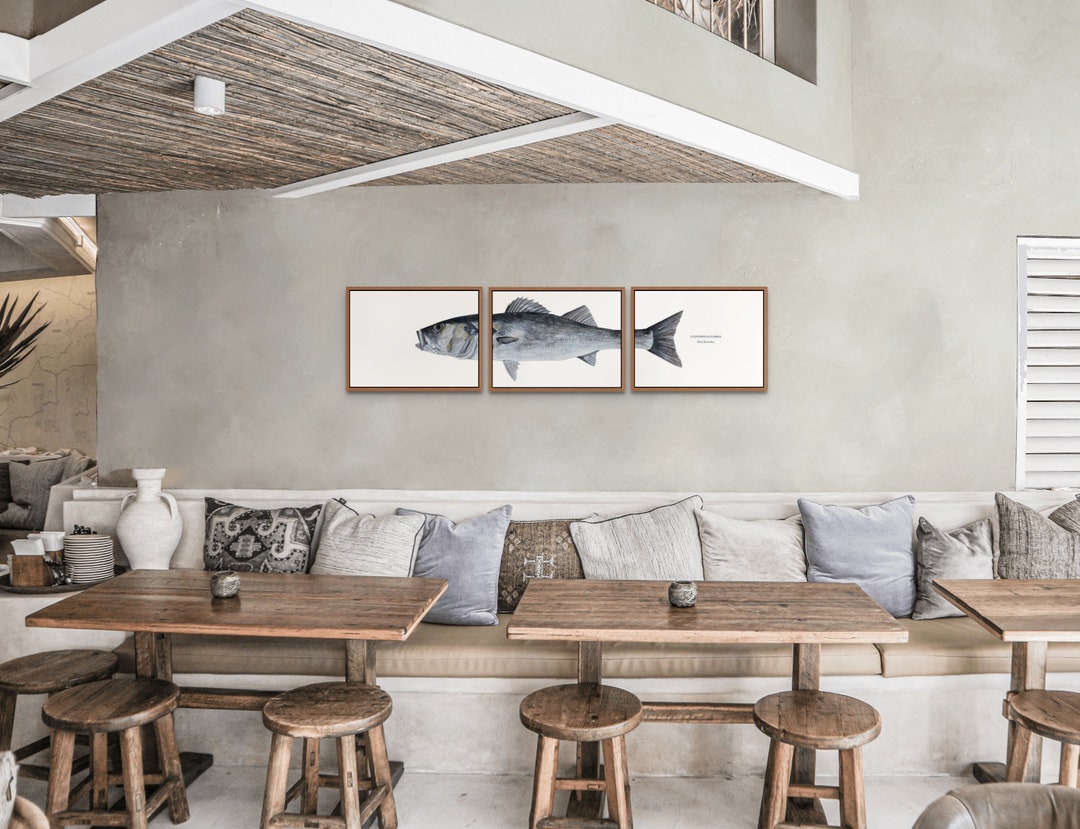 Fish Triptych Le Bar Wall Composition Reproduction on Paper of an ...