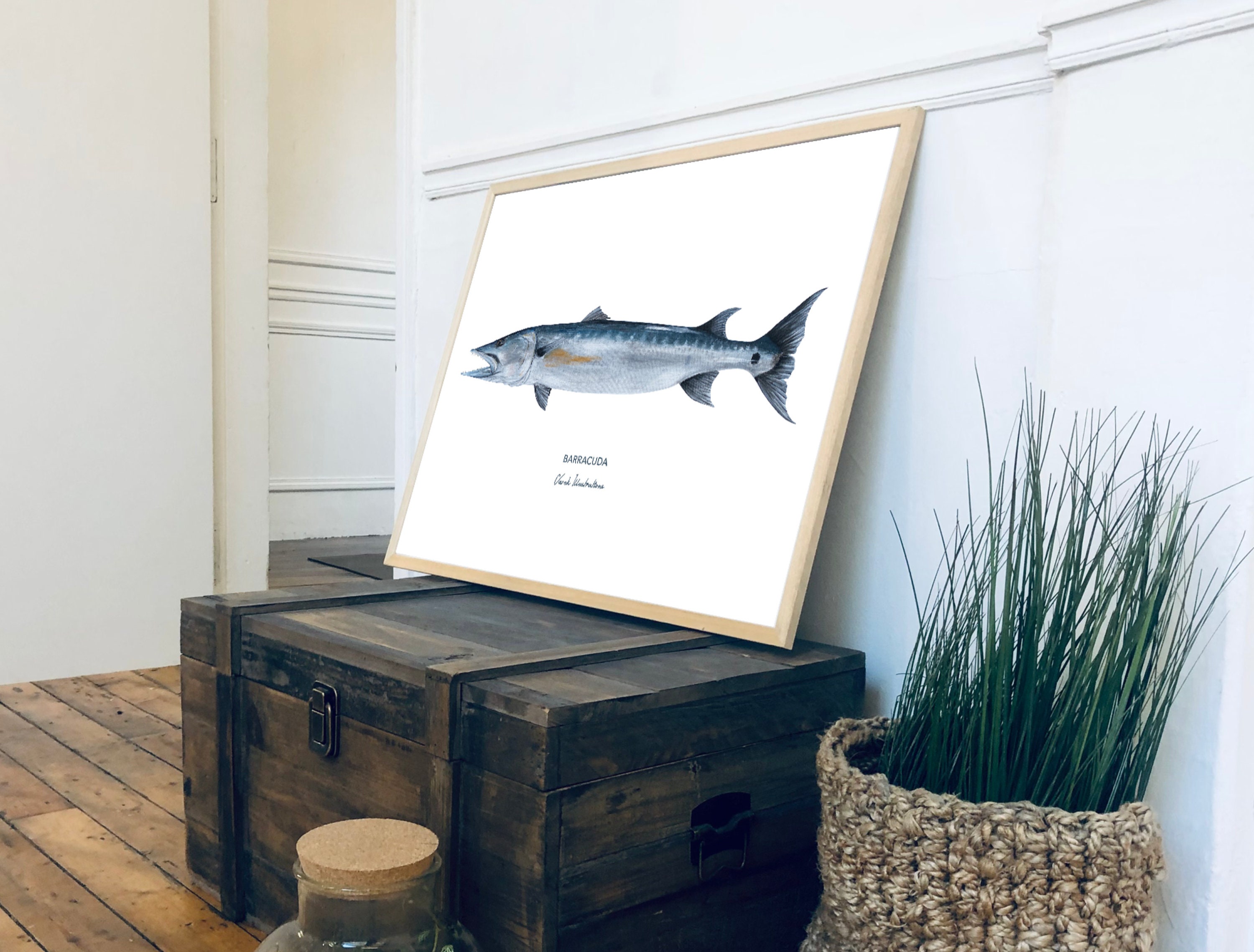 The Barracuda Poster 250gr Art Paper - Etsy