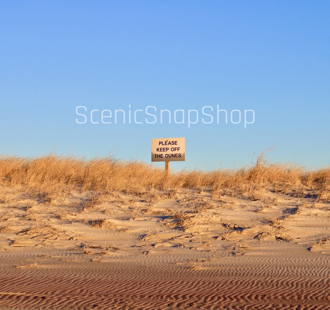 Beach Scene, Sand, Dunes, Signs, Digital Print - Etsy