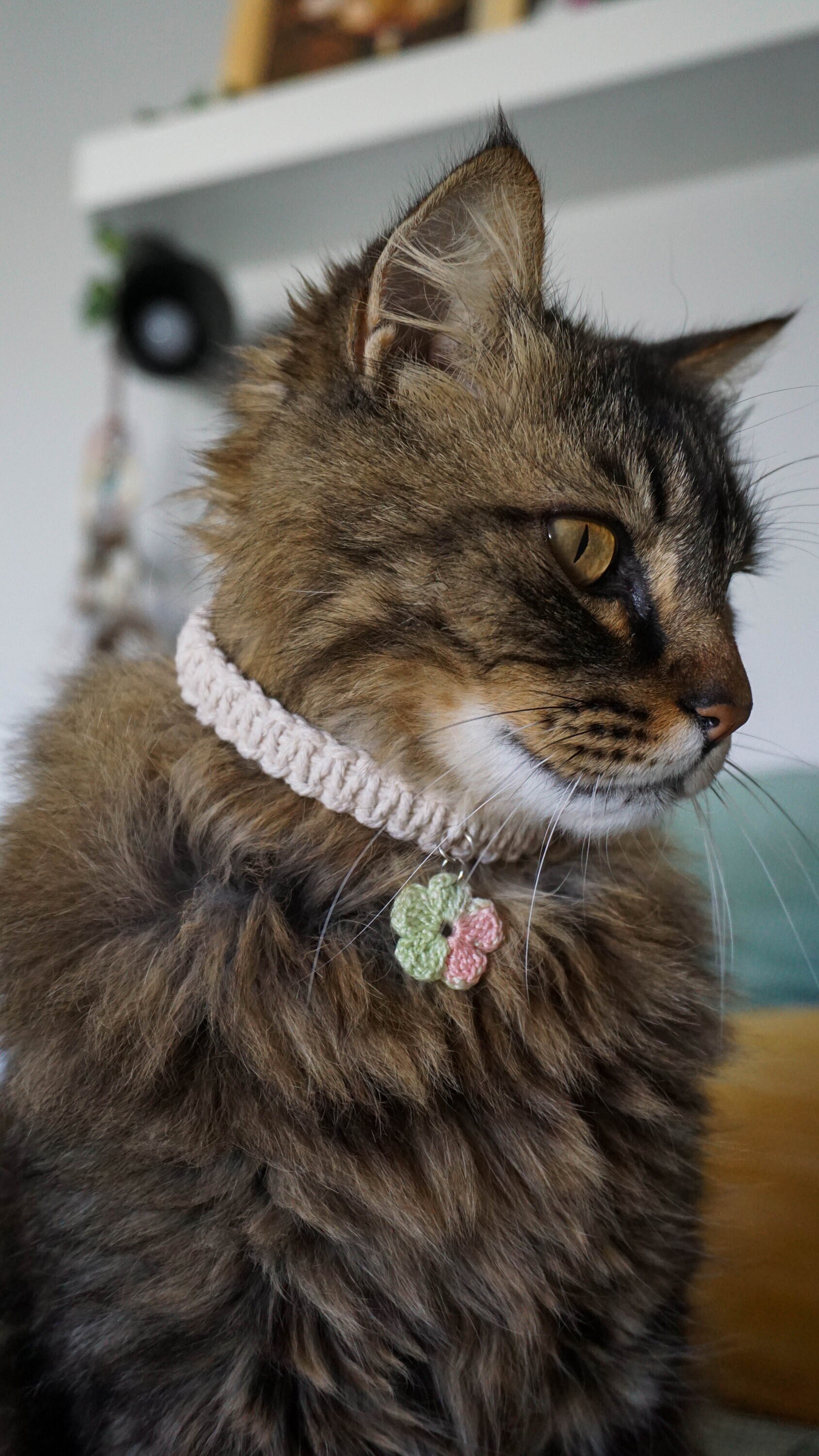 macrame-personalized-dog-cat-collar-with-crochet-flower-or-heart