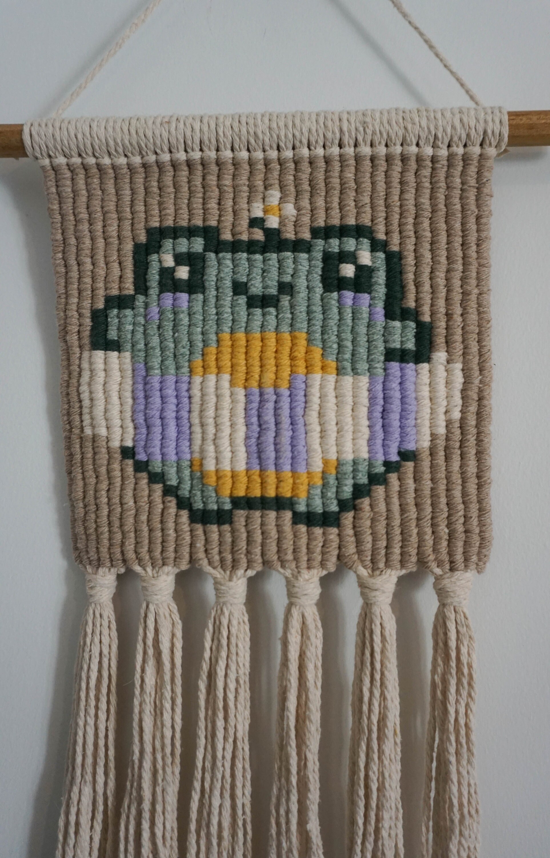 Cute Frog Macrame Wall Hanging Animal Frog Pixel Art for - Etsy