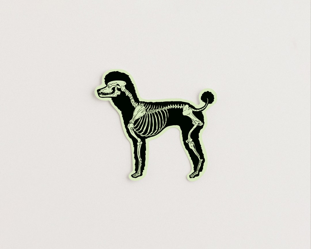 Glow in the Dark Poodle Dog Skeleton Vinyl Sticker - Etsy