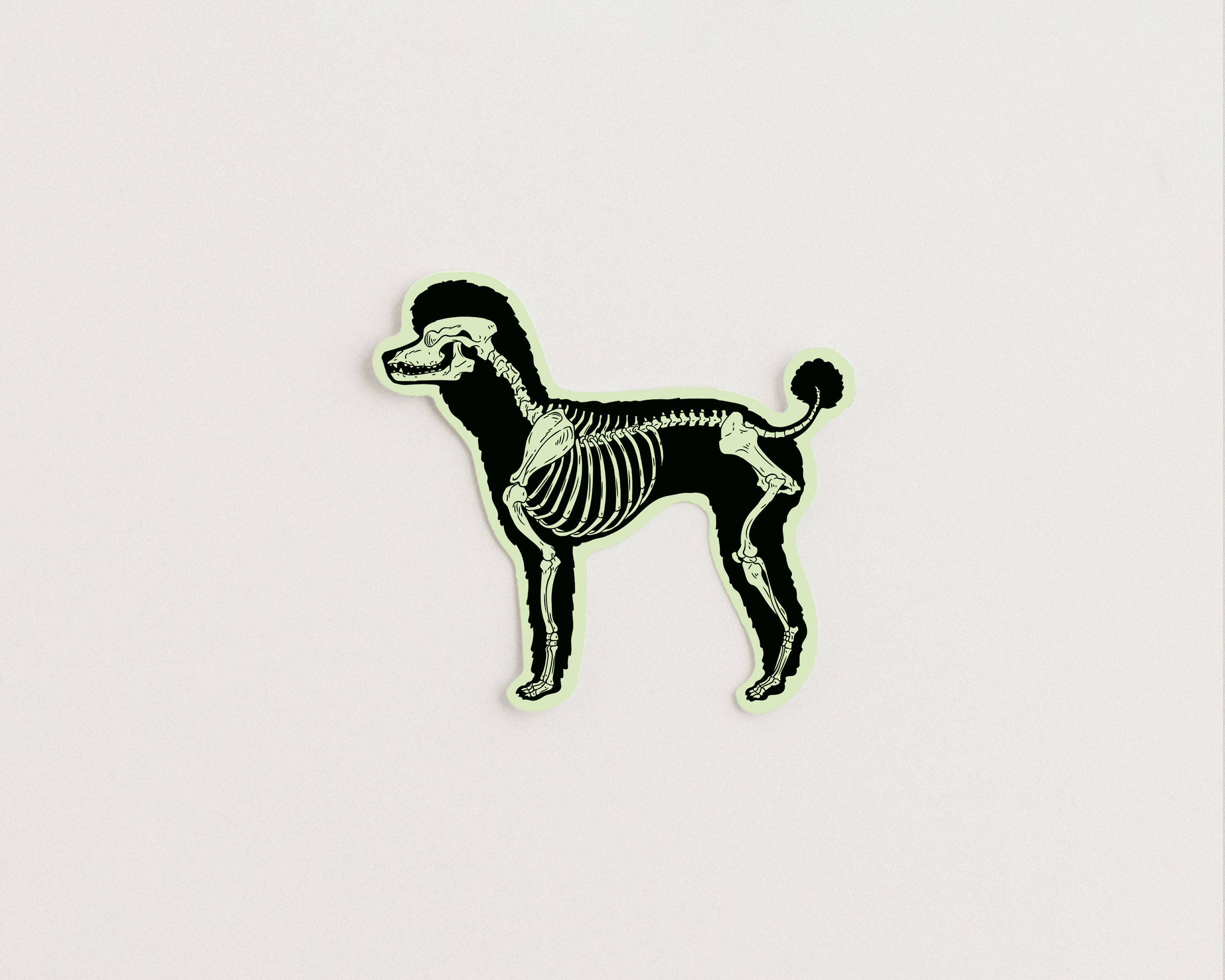 Glow in the Dark Poodle Dog Skeleton Vinyl Sticker - Etsy