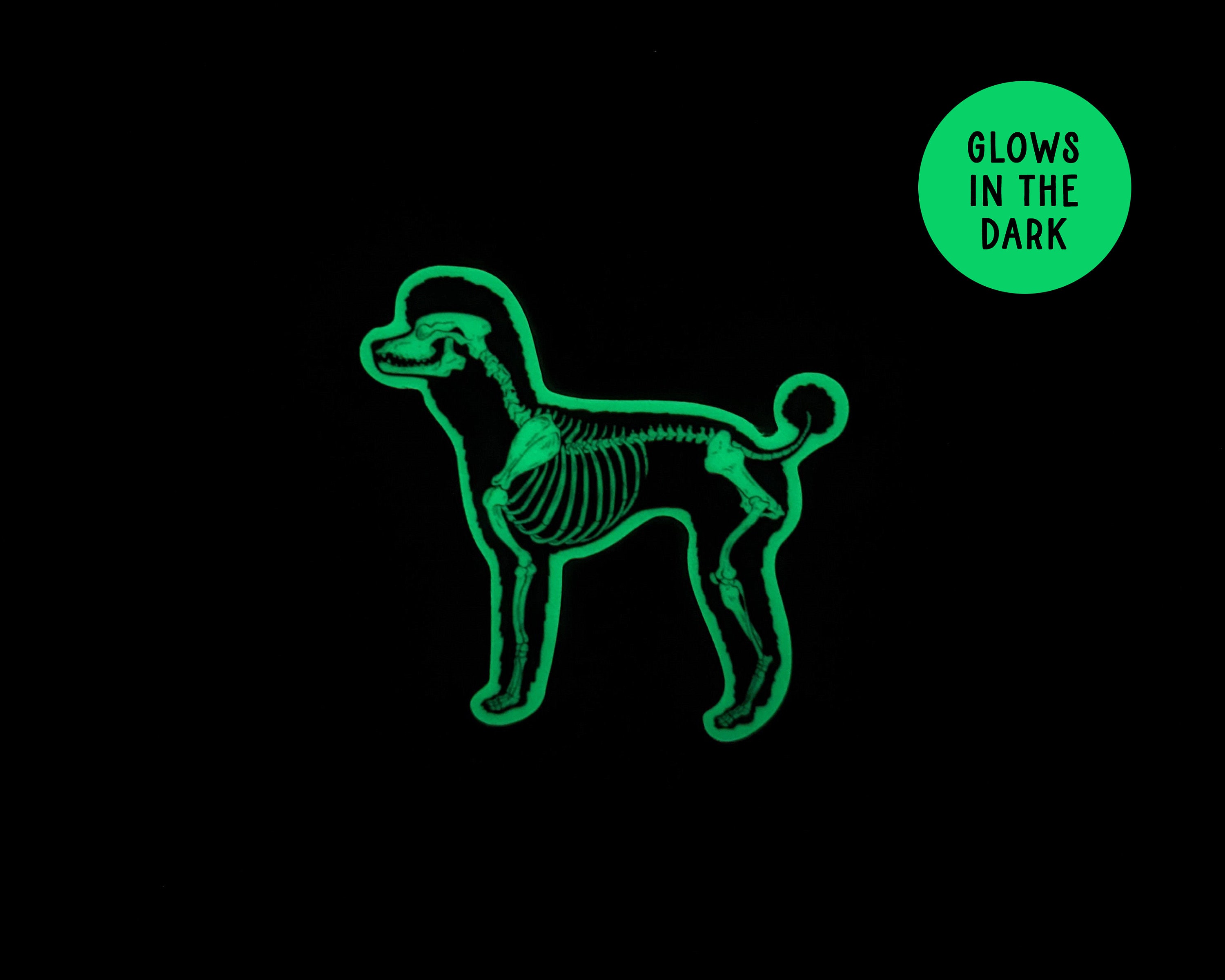 Glow in the Dark Poodle Dog Skeleton Vinyl Sticker - Etsy