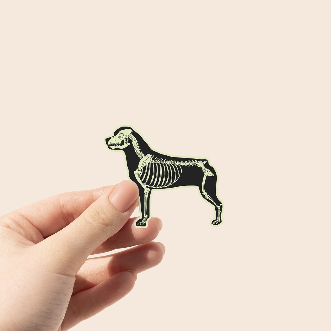 Glow in the Dark Rottweiler Dog Skeleton Vinyl Sticker - Etsy