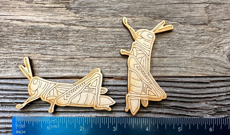 Laser Cut Grasshoppers for Crafts, Grasshopper Blanks for DIY, Laser ...