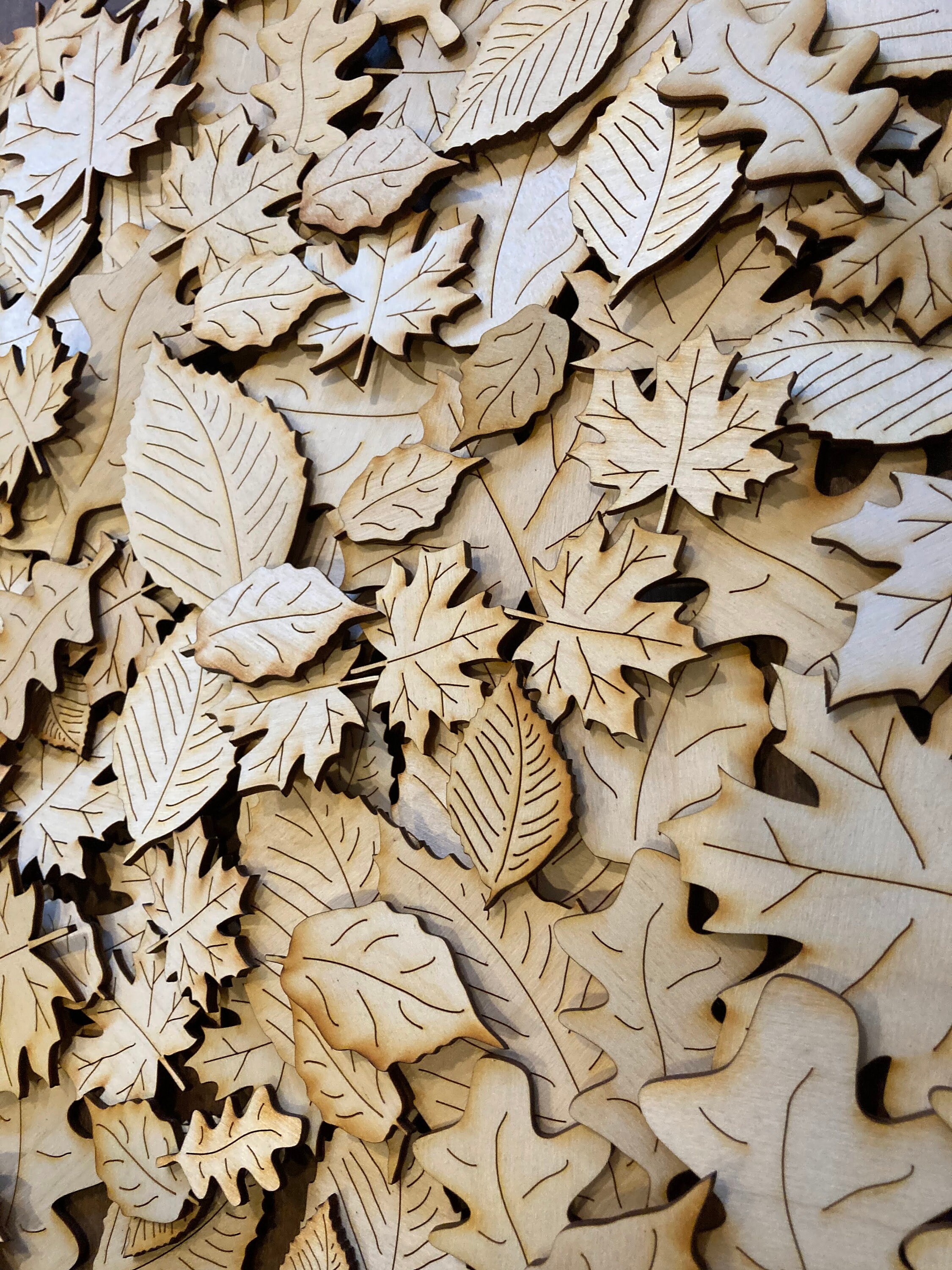 Bulk Laser Cut Leaves, Laser Cut Maple Leaves, Laser Cut Oak Leaves ...