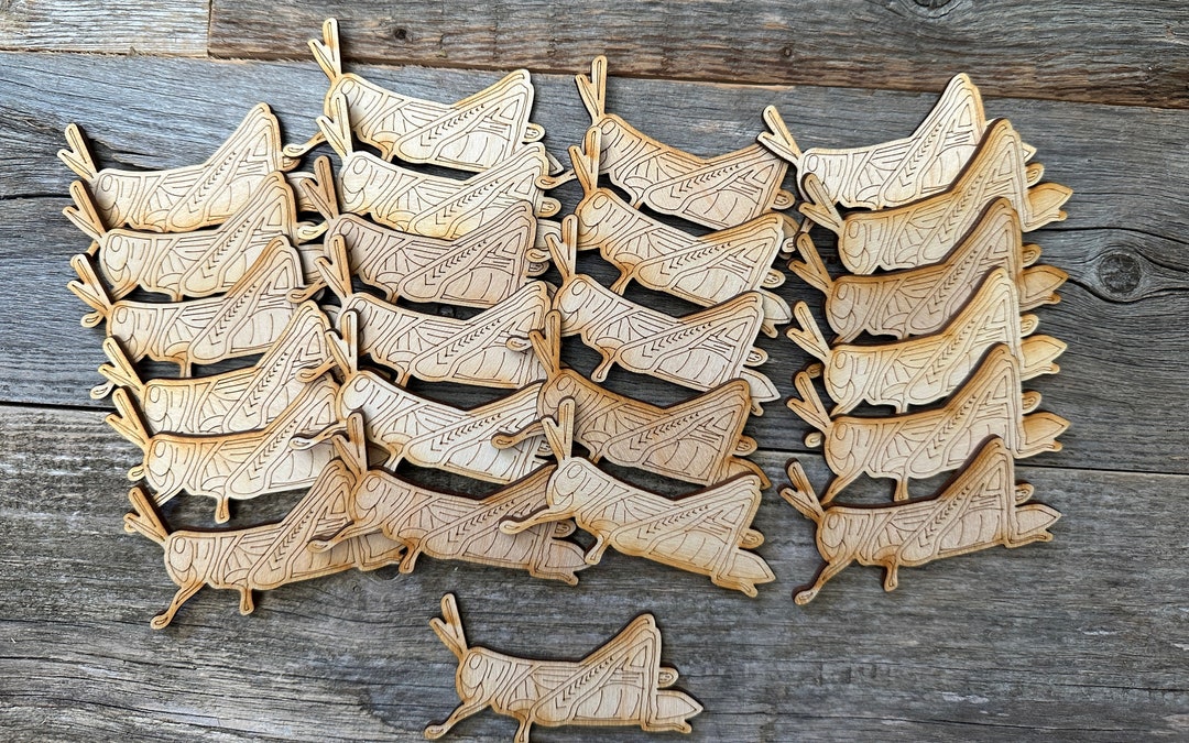 Laser Cut Grasshoppers for Crafts, Grasshopper Blanks for DIY, Laser ...