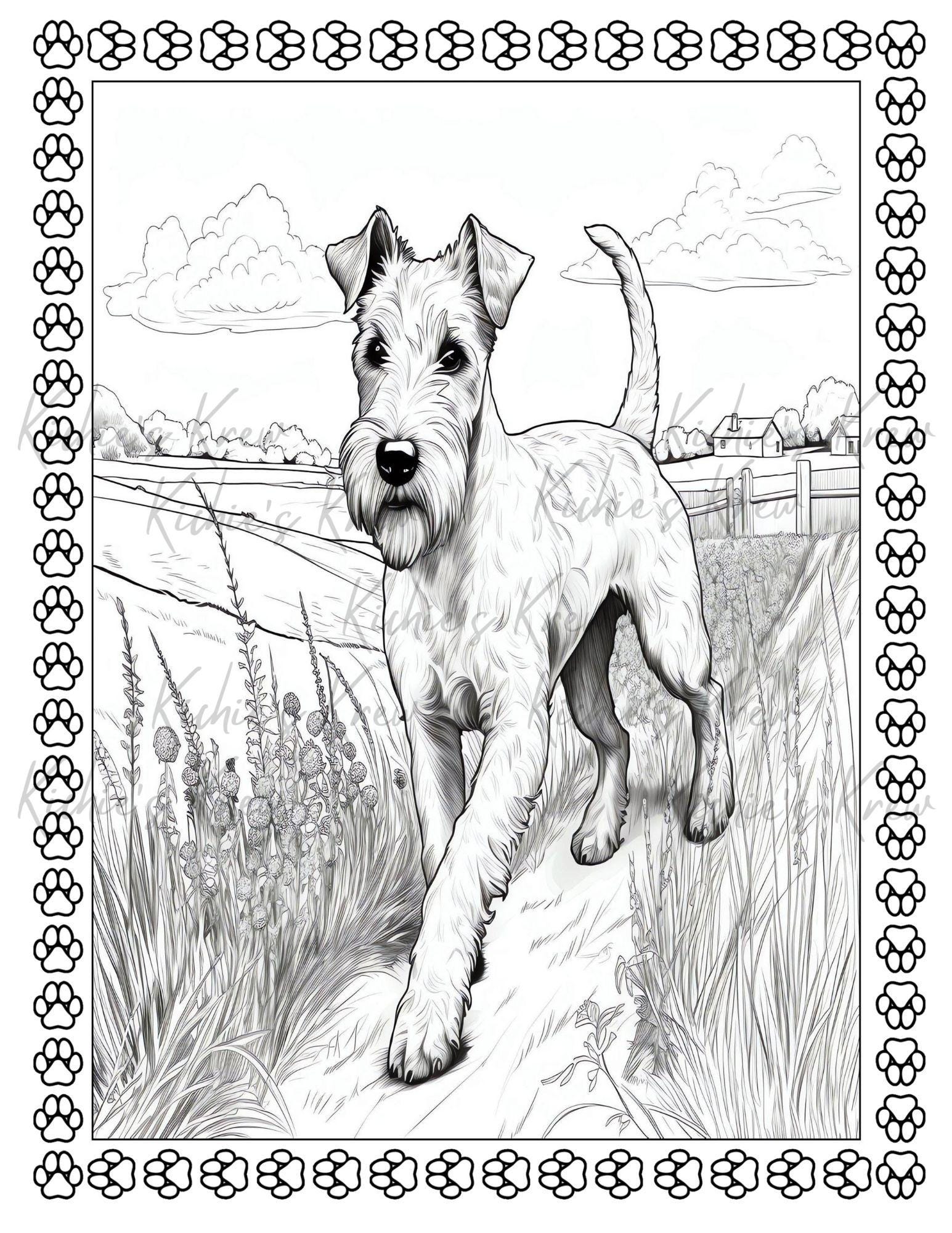 Pawsitively Adorable Digital Coloring Book Realistic Dog Drawings for ...