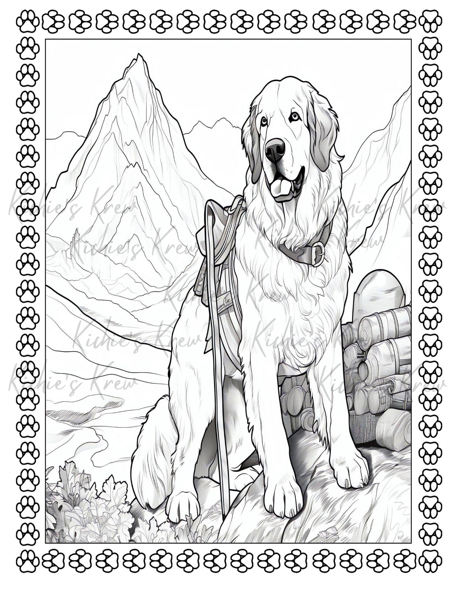 Pawsitively Adorable Digital Coloring Book Realistic Dog Drawings for ...