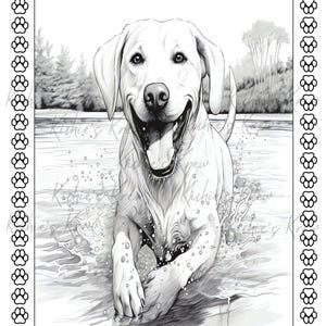 Pawsitively Adorable Digital Coloring Book Realistic Dog Drawings for ...
