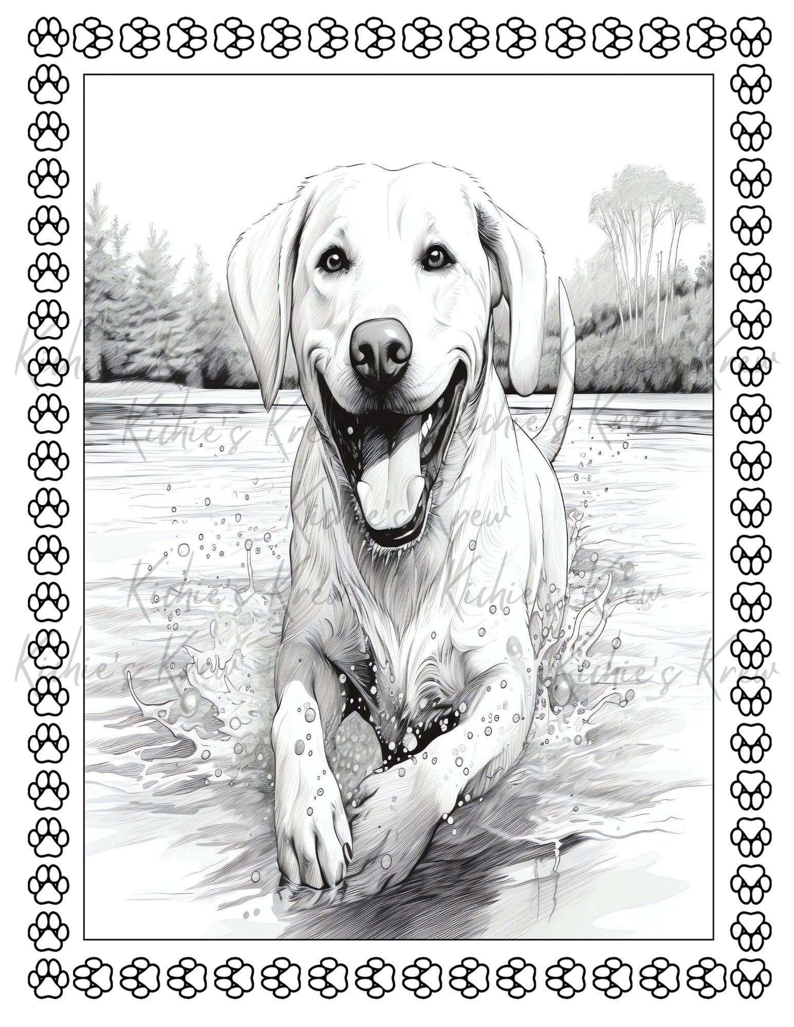 Pawsitively Adorable Digital Coloring Book Realistic Dog Drawings for ...