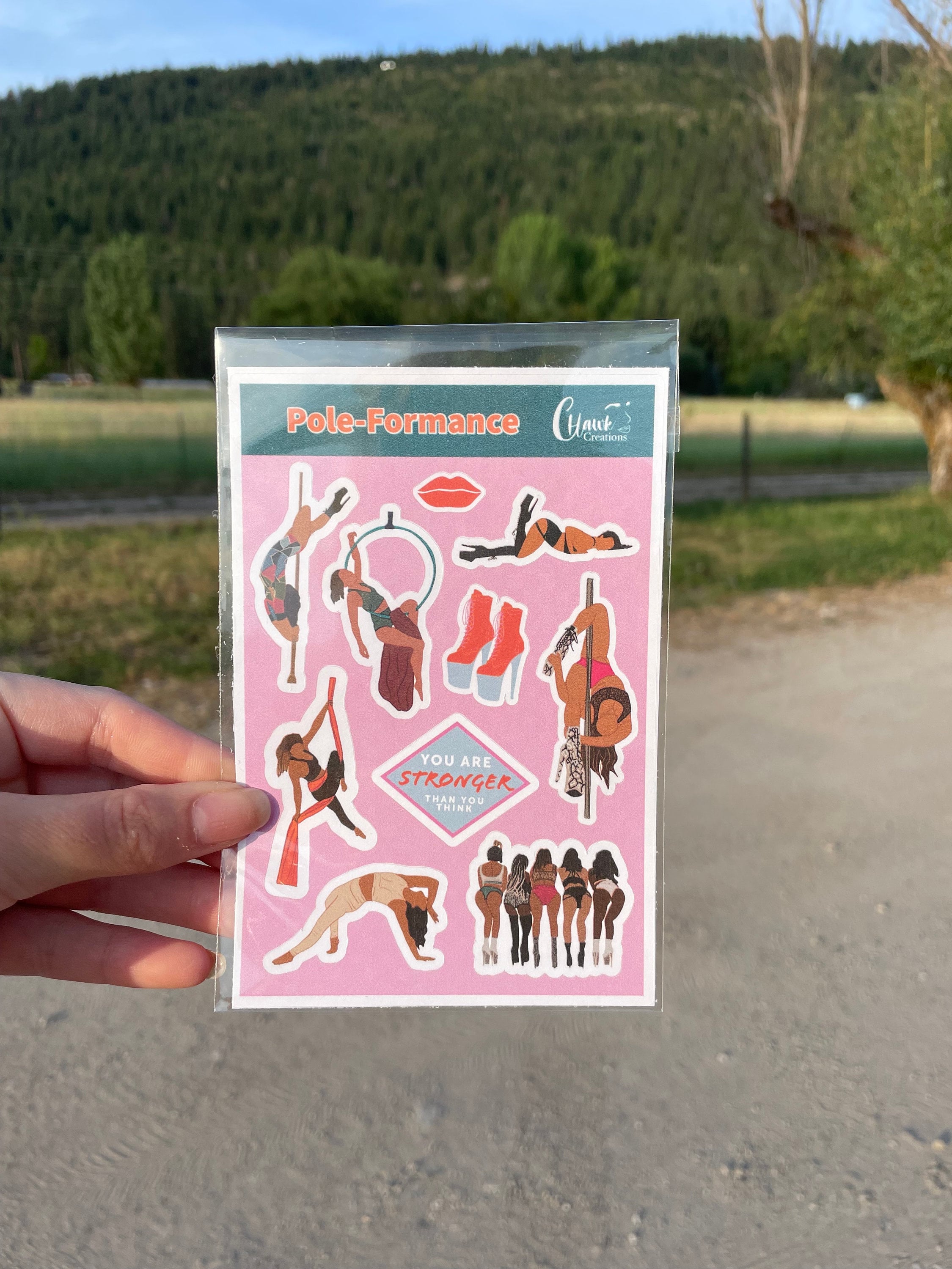 Pole-formance Sticker Sheet - Etsy