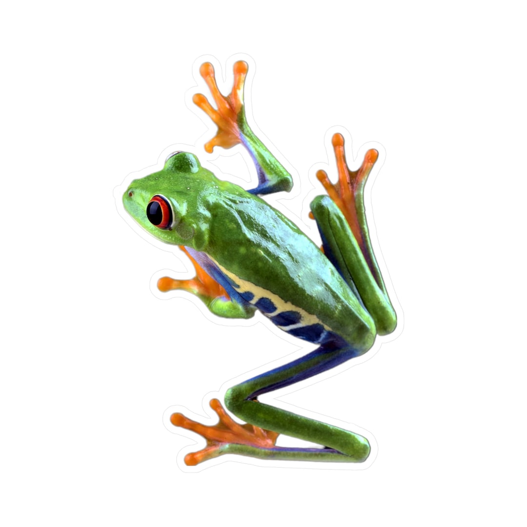 Frog Stickers, Laptop Sticker, Hydroflask Sticker, Car Decal, Bumper ...