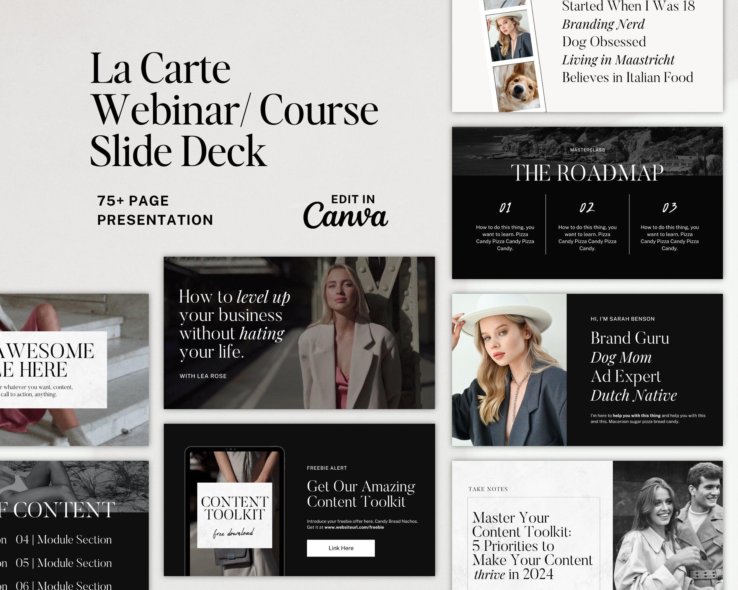 La Carte Canva Webinar Slide Deck Templates - Ideal for Speakers ...