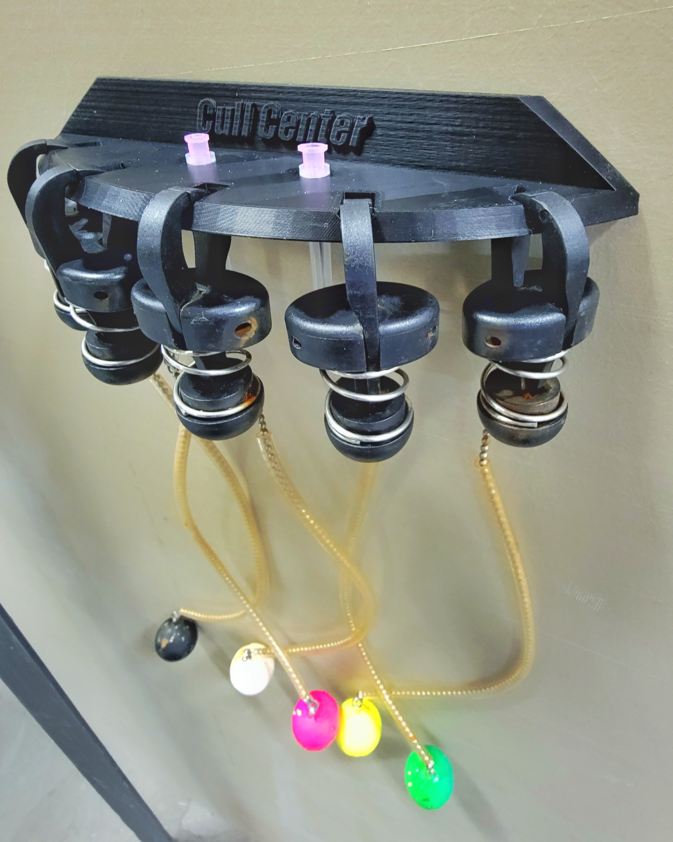 Bass Fishing Cull Tag Holder With Dual Fish Venting Needles ...