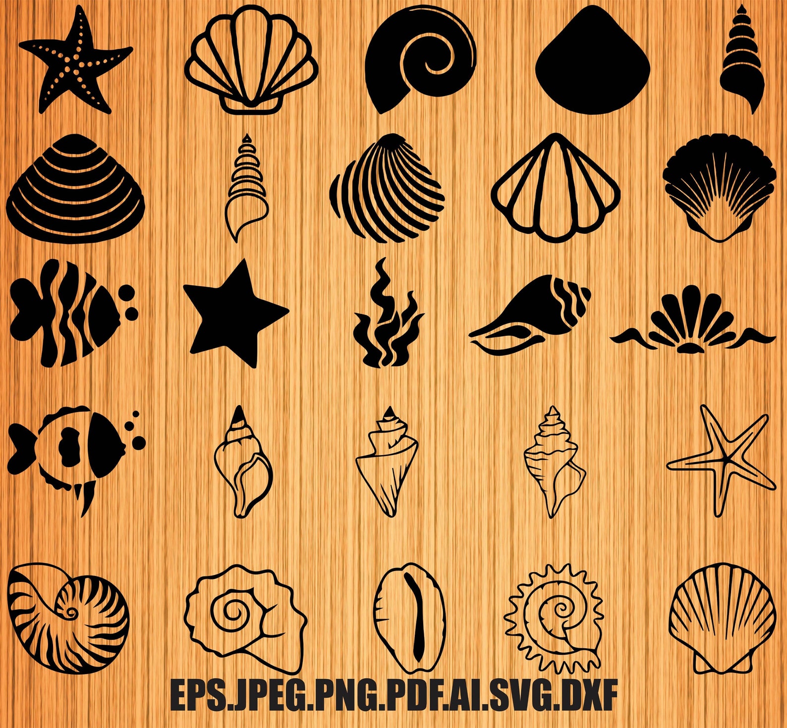 Seashell SVG Bundle, Seashell PNG Bundle, Seashell Clipart, Seashell ...